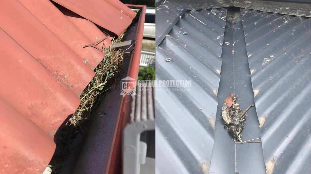 Rat Proofing | Vermin Mesh | Bird Guard