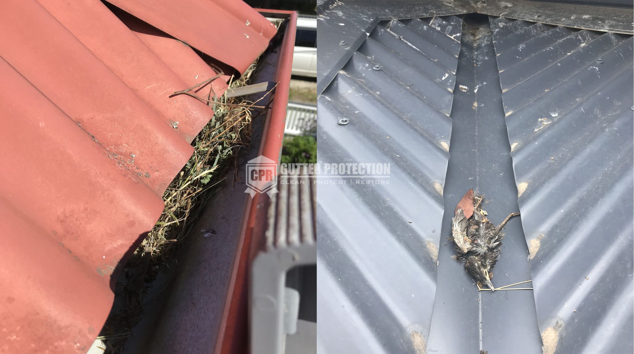 Rat Proofing | Vermin Mesh | Bird Guard